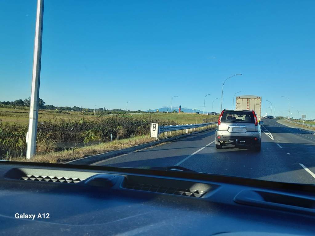 Pirongia-o-Te Aroaro-ō-Kahu – Life in Eureka